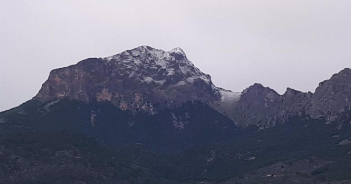 Arriba la neu al Puig Major