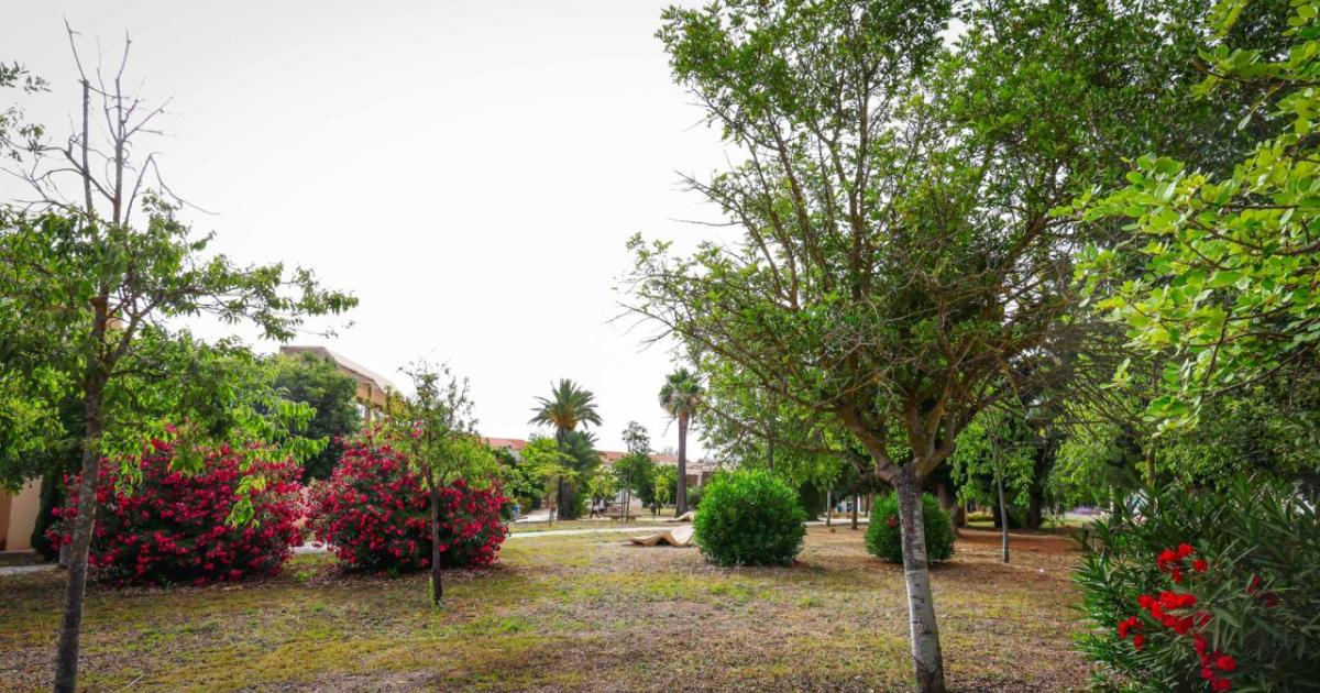 Les IX Jornades de Medi Ambient de les Illes Balears posen en valor la ...